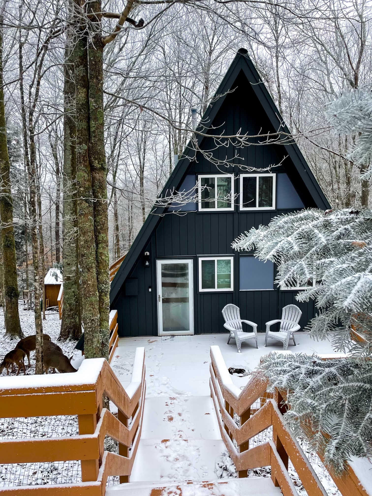 Beech Mountain Cabin - Kelly Days